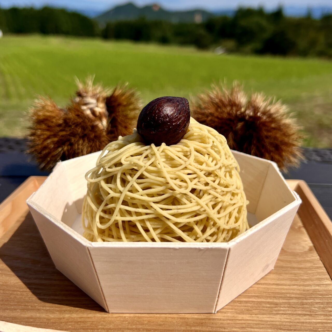 【岐阜｜長森】焼肉デート、女子会におすすめのおしゃれ焼肉「焼肉RAF（ラフ）」 | Gifugram｜岐阜県のグルメ 観光 お出かけ 暮らし