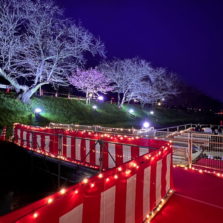 各務原市｜2024年3月30日〜4月7日「シン・お花見スポット」新境川堤 百十郎桜 | Gifugram｜岐阜県のグルメ 観光 お出かけ 暮らし