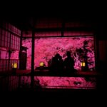 【岐阜｜長森】焼肉デート、女子会におすすめのおしゃれ焼肉「焼肉RAF（ラフ）」 | Gifugram｜岐阜県のグルメ 観光 お出かけ 暮らし