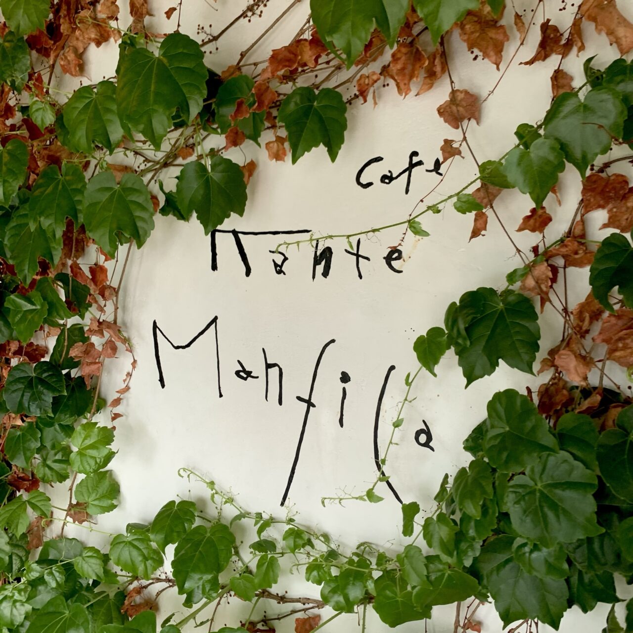 岐阜市｜Café Kante Manfila（カンテ・マンフィーラ）「予約必須の人気カフェランチ」 | Gifugram｜岐阜県のグルメ 観光 お出かけ 暮らし