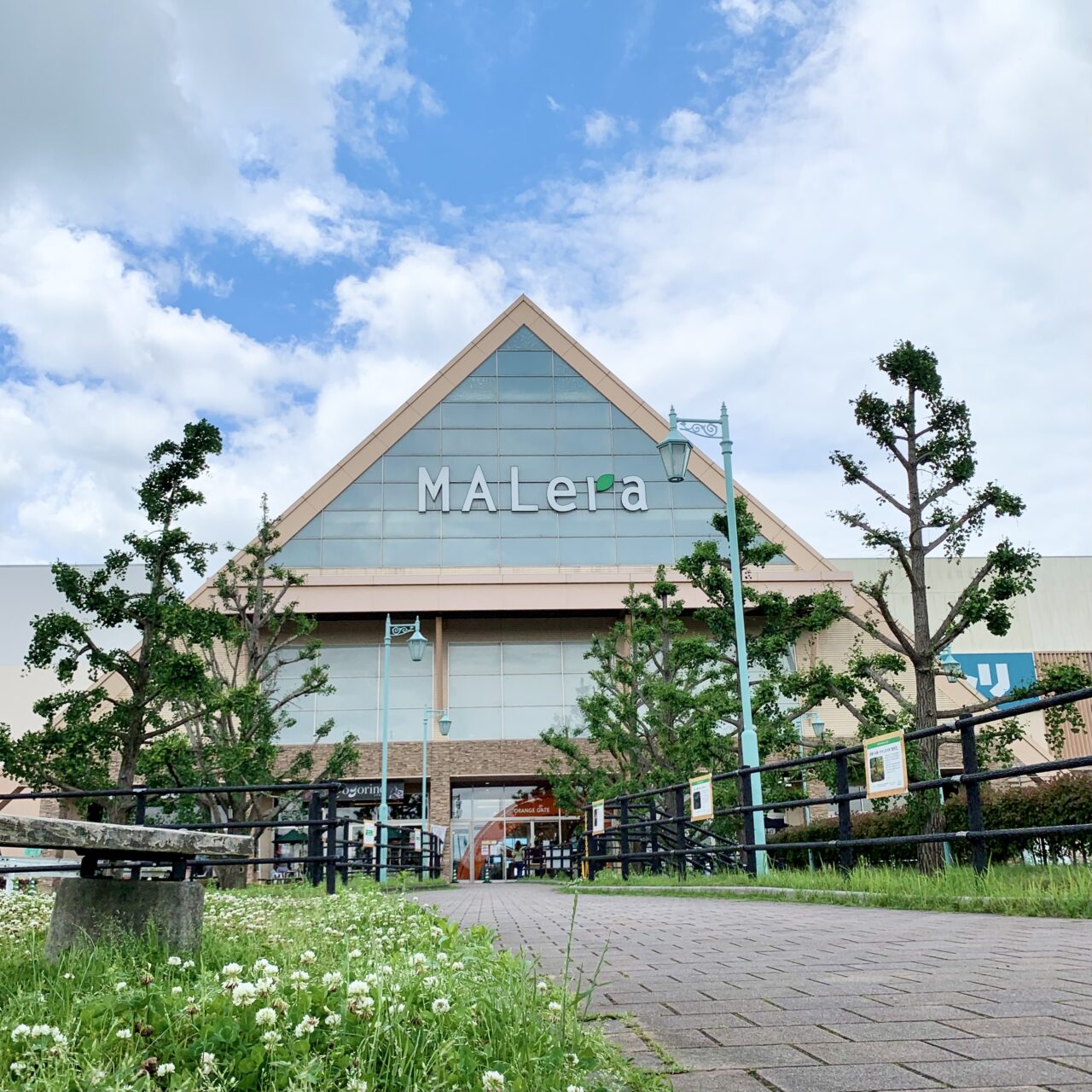 本巣市『モレラ桜とテイクアウト』 | Gifugram