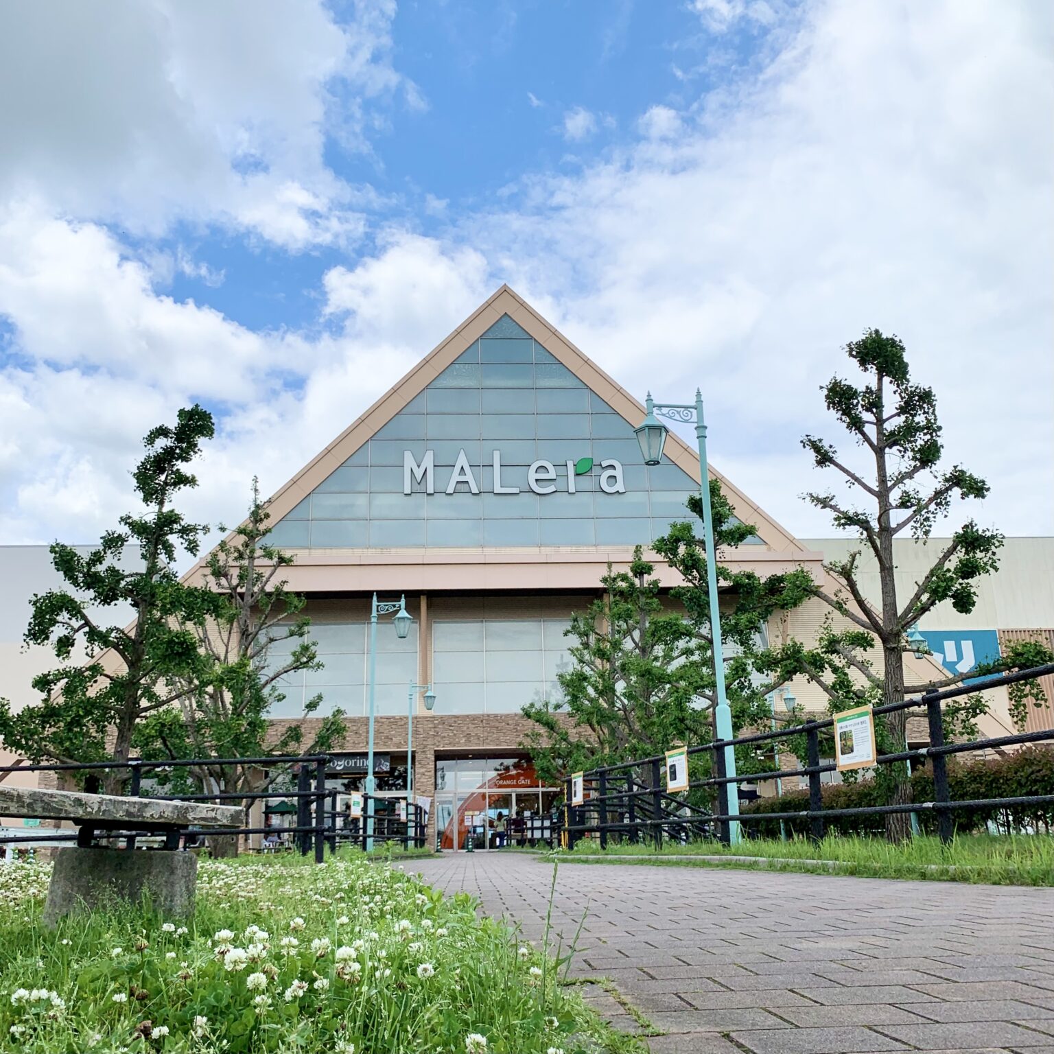 本巣市『モレラ桜とテイクアウト』 | Gifugram