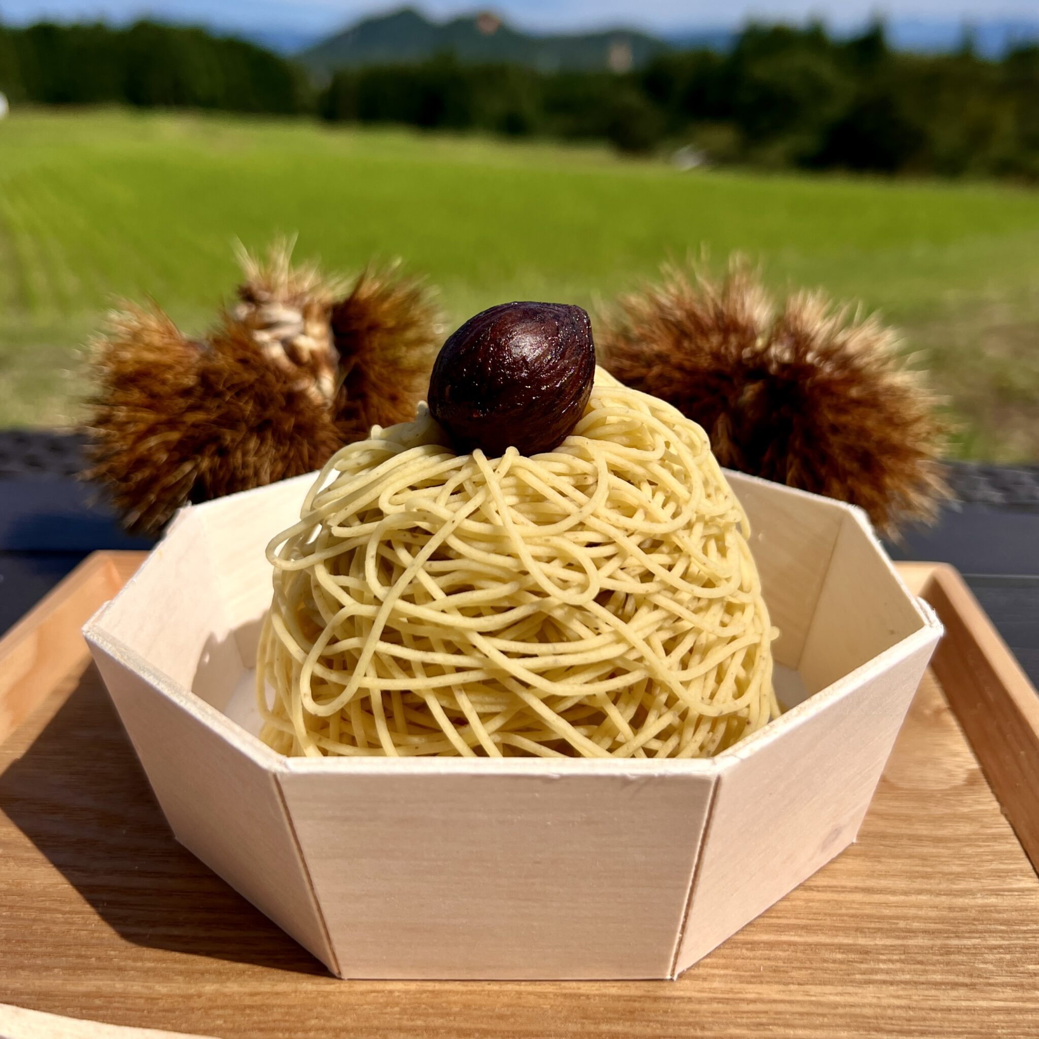 【岐阜｜下呂】デートや女子旅におすすめ ️下呂温泉街の新スポット「テルマエ射的」 | Gifugram｜岐阜県のグルメ 観光 お出かけ 暮らし