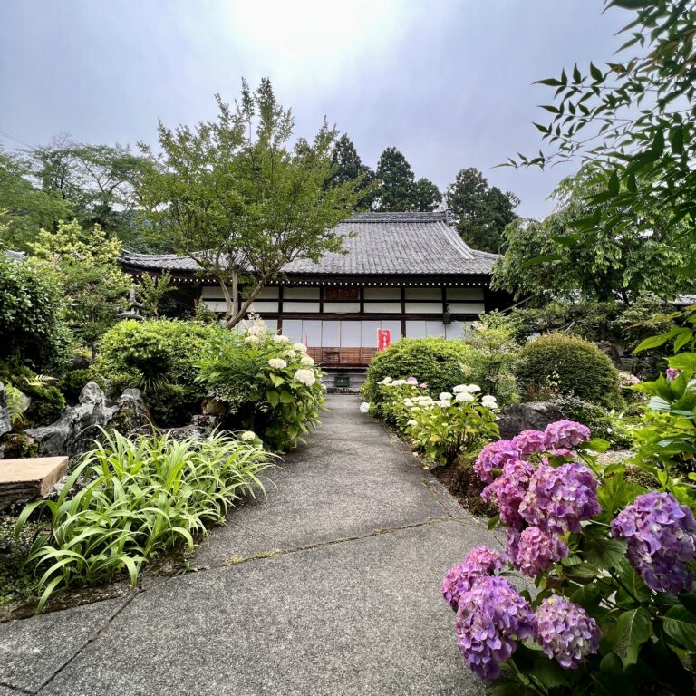 【岐阜県】色鮮やかな花々で飾った花手水舎5選 | Gifugram｜岐阜県のグルメ 観光 お出かけ 暮らし