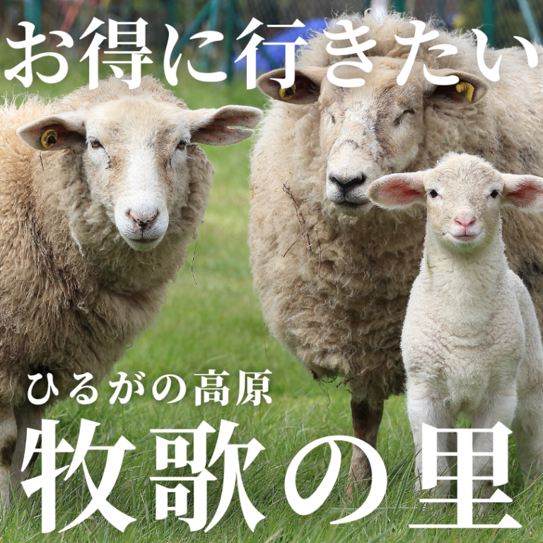 美濃加茂市｜MOON-GA（ムンガ）「人気韓国カフェの2号店オープン」 | Gifugram｜岐阜県のグルメ 観光 お出かけ 暮らし