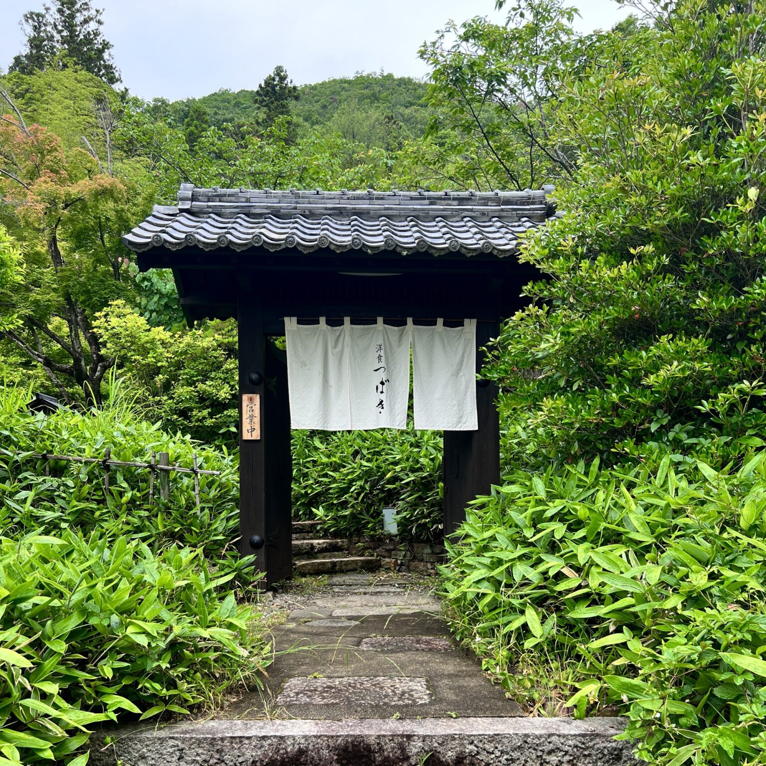 岐阜市｜洋食つばき「一度は行きたい岐阜の名店ランチ」 | Gifugram｜岐阜県のグルメ 観光 お出かけ 暮らし