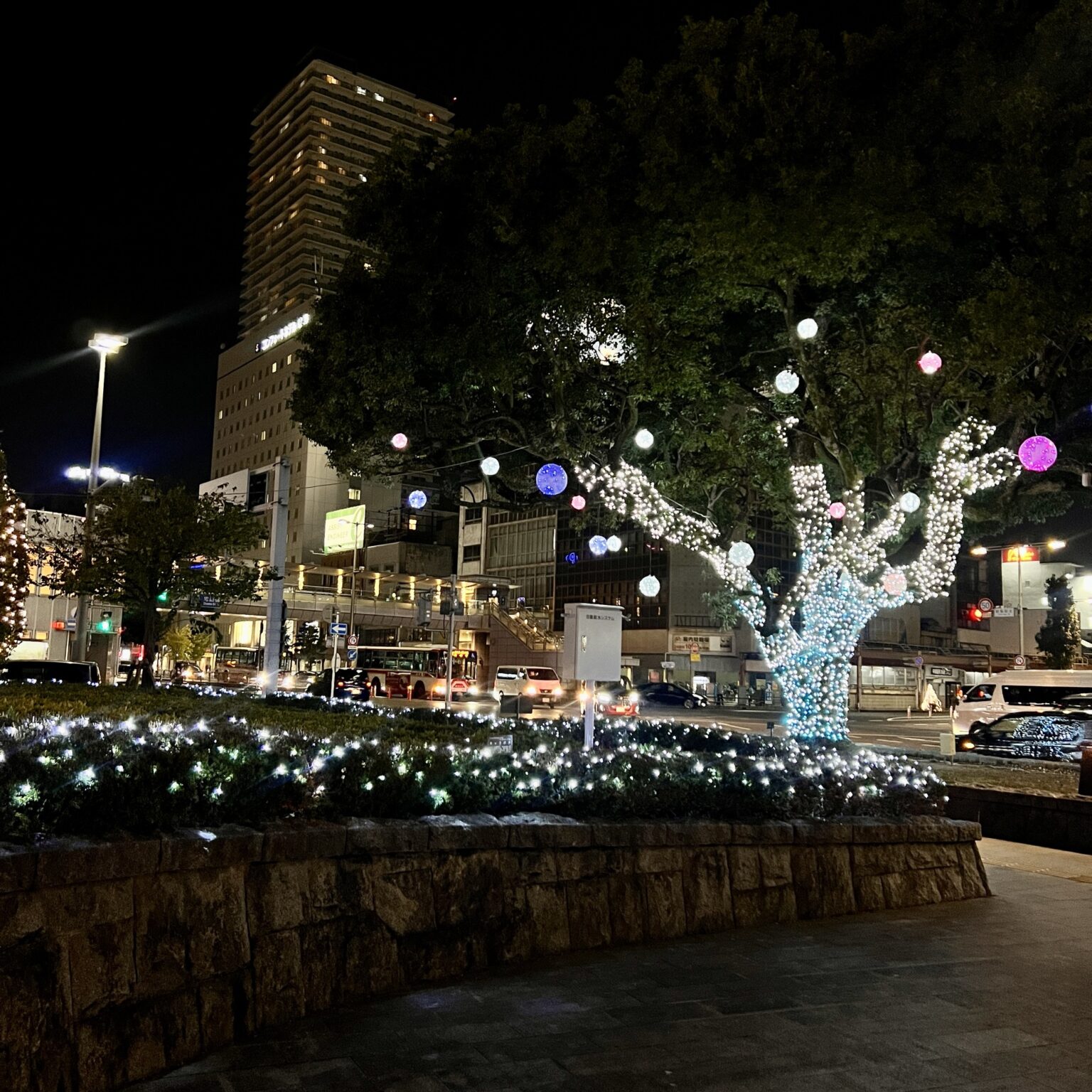 岐阜市｜駅とまちを光でつなぐ杜のイルミネーション | Gifugram｜岐阜県のグルメ 観光 お出かけ 暮らし