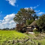 中津川市｜meet tree HITO to KI「2024年9月オープン！新感覚の栗スイーツ！モンブランパフェ」 | Gifugram｜岐阜県のグルメ 観光 お出かけ 暮らし