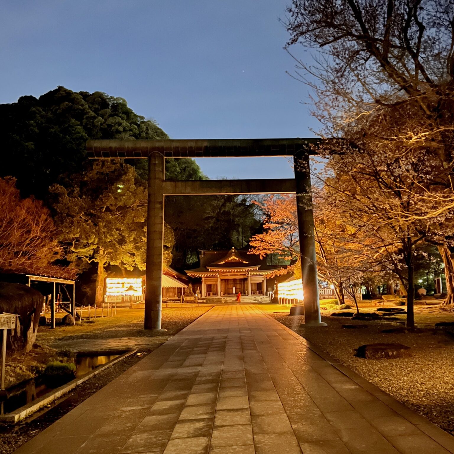 岐阜市｜岐阜護国神社「岐阜公園すぐ！桜に包まれる静かな聖域」ご利益・アクセス・見どころ徹底ガイド | Gifugram｜岐阜県のグルメ 観光 お出かけ 暮らし